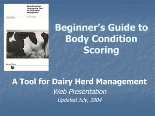 Beginner's guide to Body Condition Score in Cattle | PDF