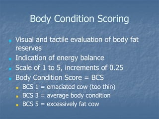 Beginner's guide to Body Condition Score in Cattle | PDF