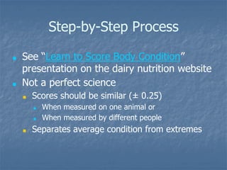 Beginner's guide to Body Condition Score in Cattle | PDF