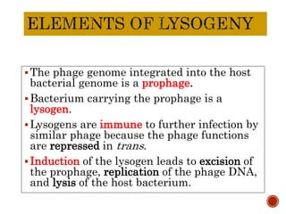 Bacteriophage_lambda_.ppt
