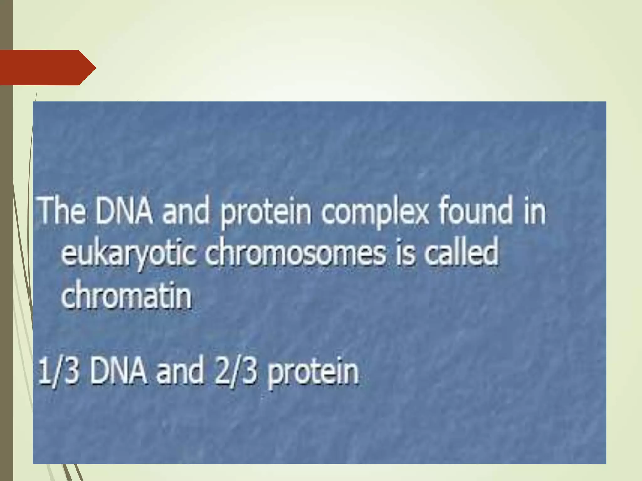 Chromosome structure.ppt