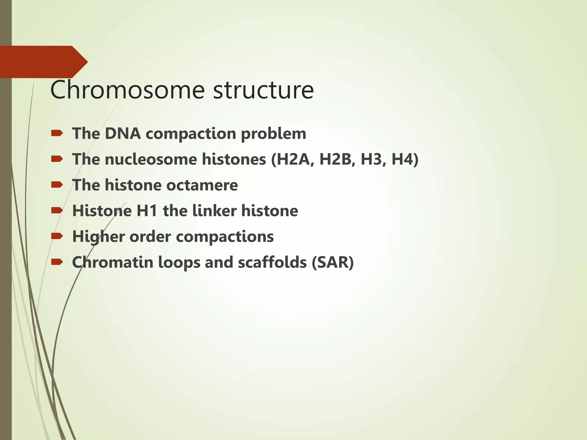 Chromosome structure.ppt