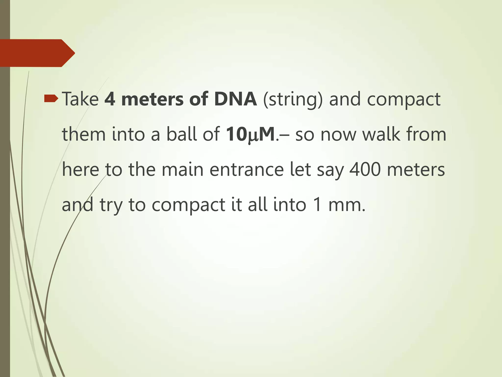 Chromosome structure.ppt