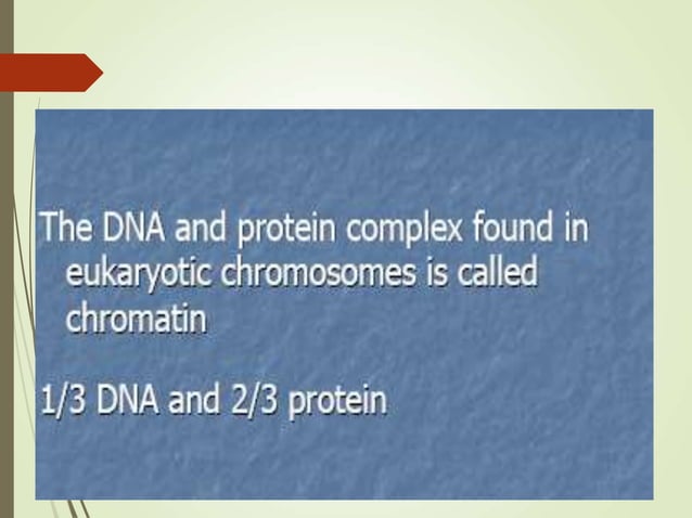 Chromosome structure.ppt