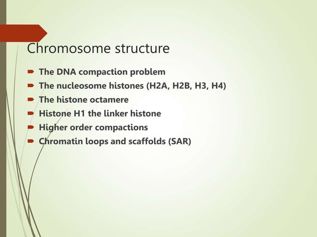 Chromosome structure.ppt