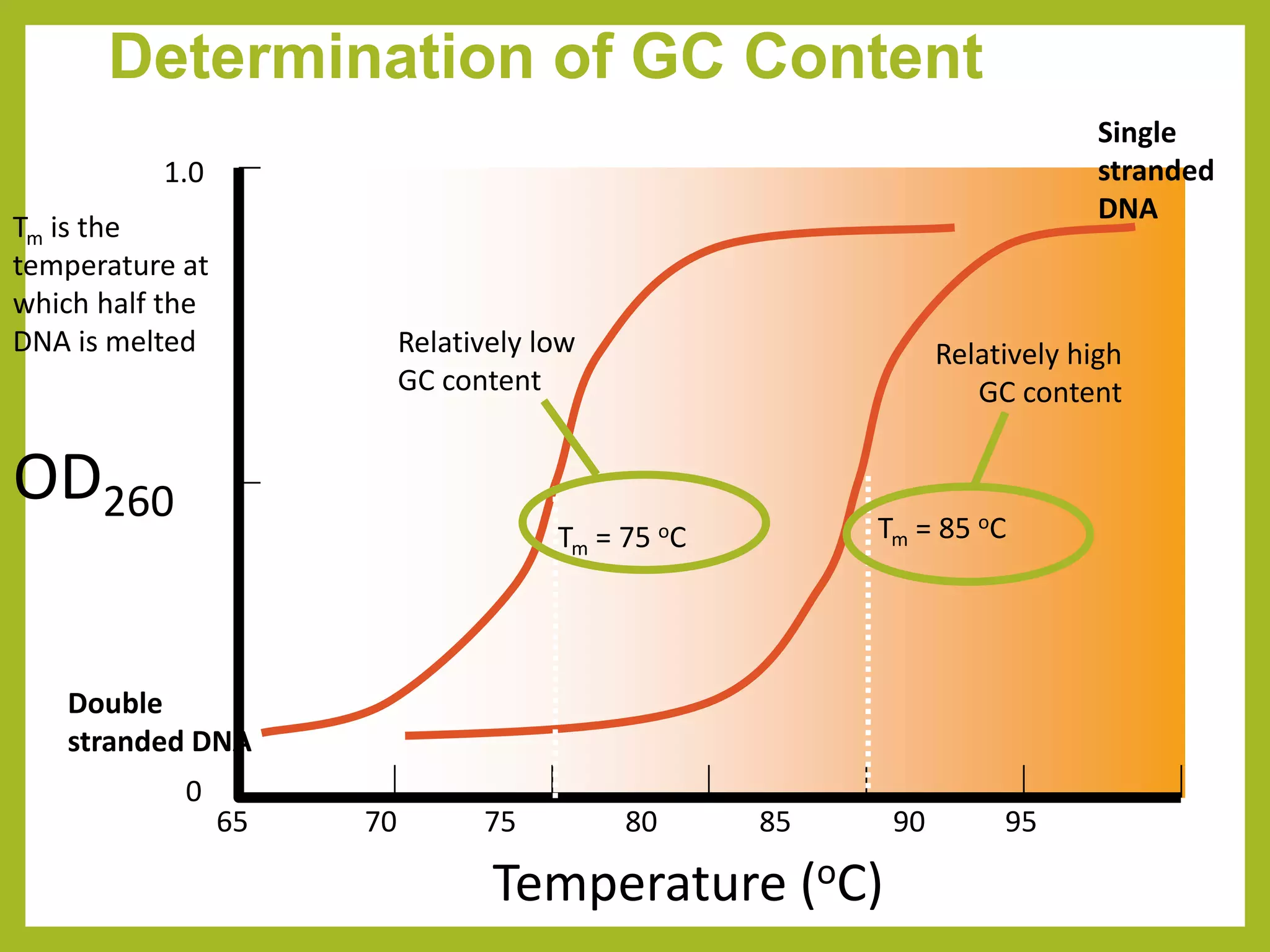de and renaturation of dna.ppt