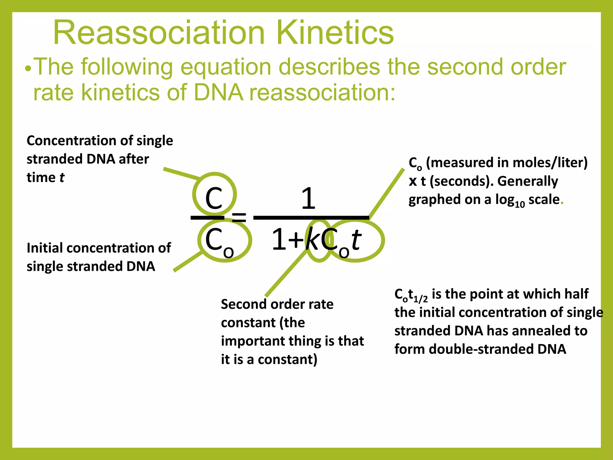 de and renaturation of dna.ppt