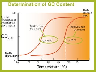 de and renaturation of dna.ppt