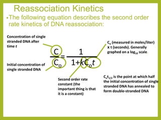 de and renaturation of dna.ppt