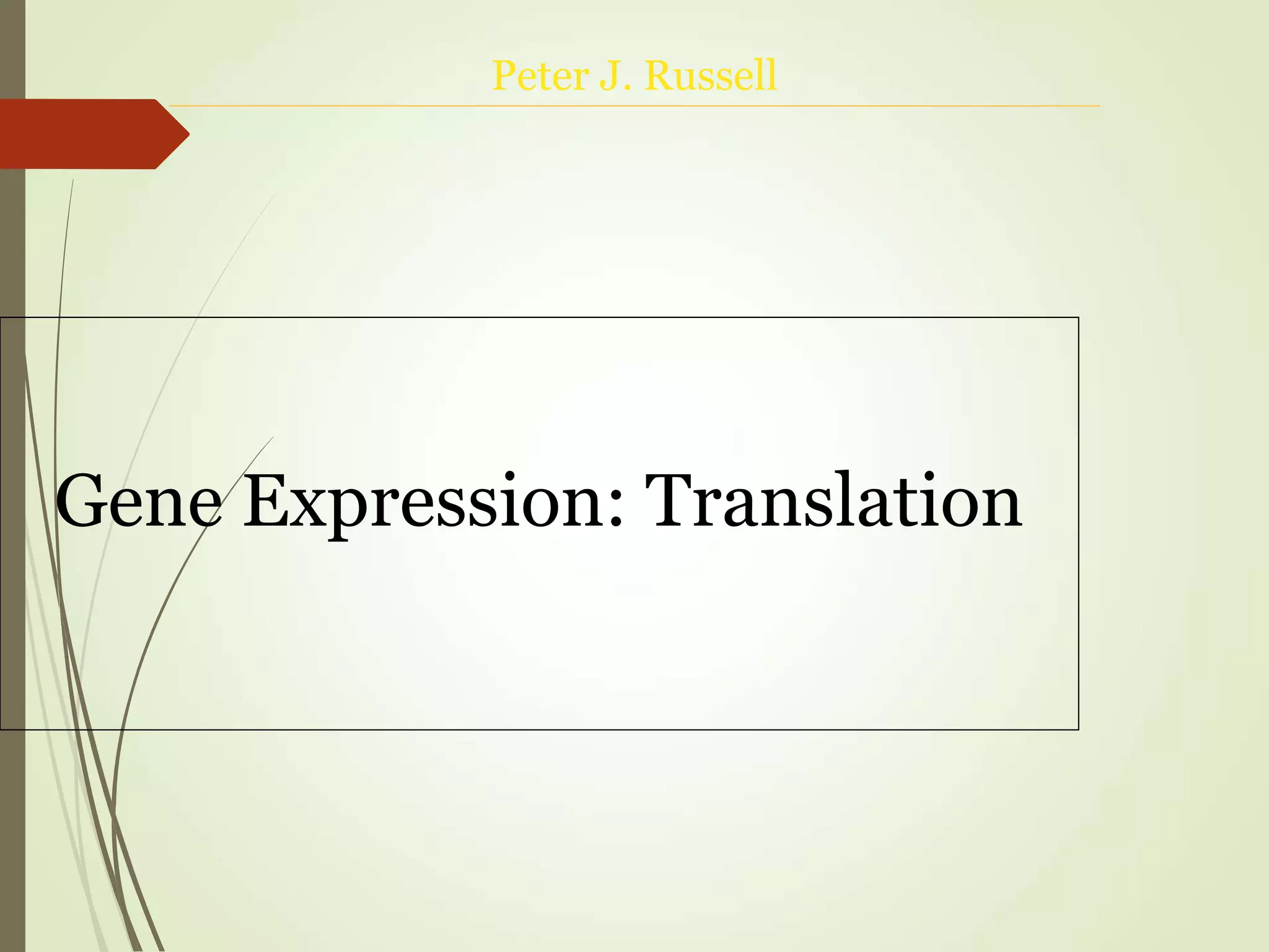 Gene Regulation Translation Russell.ppt
