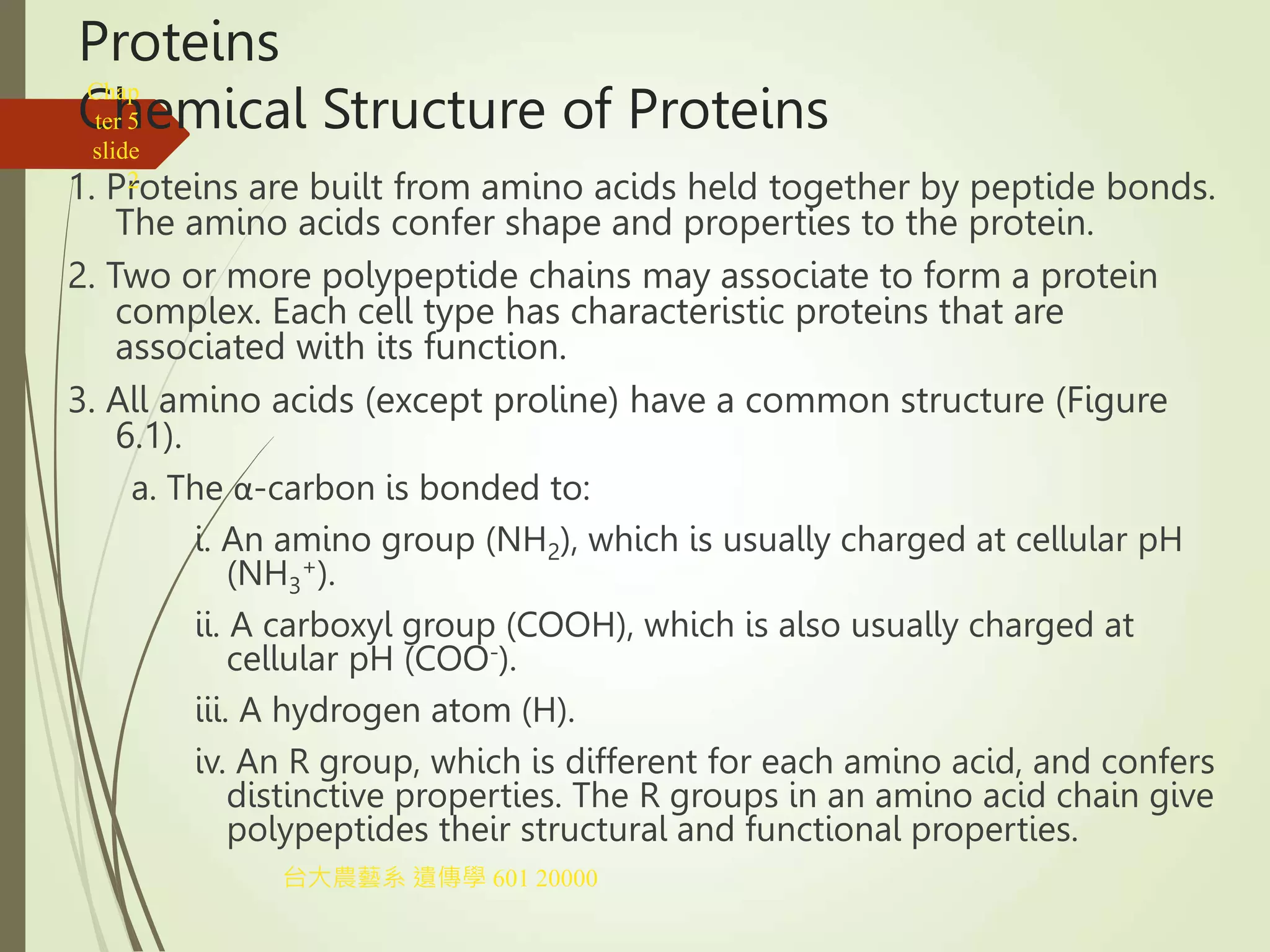 Gene Regulation Translation Russell.ppt