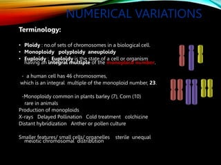 Numerical chnges.ppt