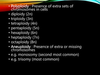 Numerical chnges.ppt