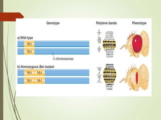 Structural changes.ppt