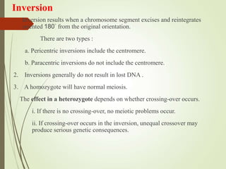 Structural changes.ppt