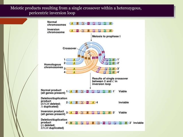 Structural changes.ppt