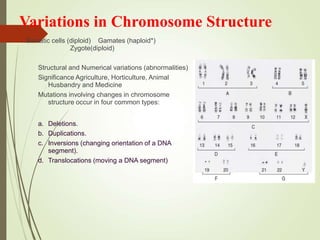 Structural changes.ppt