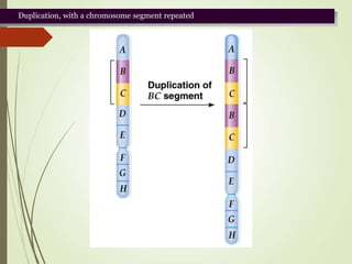 Structural changes.ppt