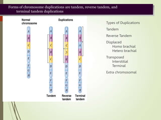 Structural changes.ppt