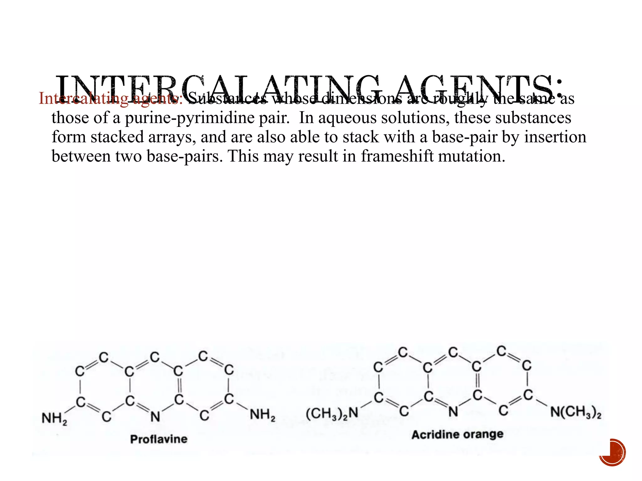 Mutation and repair .ppt
