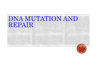Mutation and repair .ppt