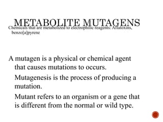 Mutation and repair .ppt