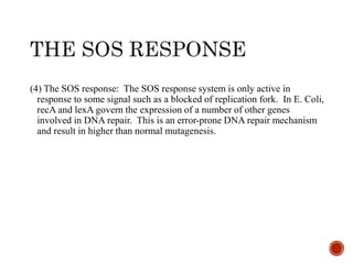 Mutation and repair .ppt