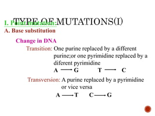 Mutation and repair .ppt
