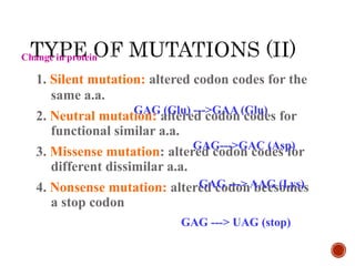 Mutation and repair .ppt