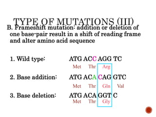 Mutation and repair .ppt