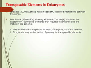 transposons.ppt