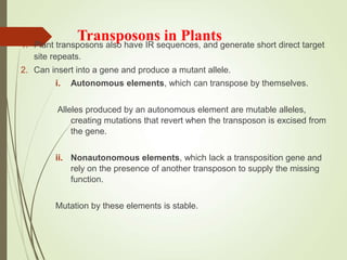 transposons.ppt