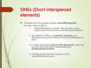 transposons.ppt