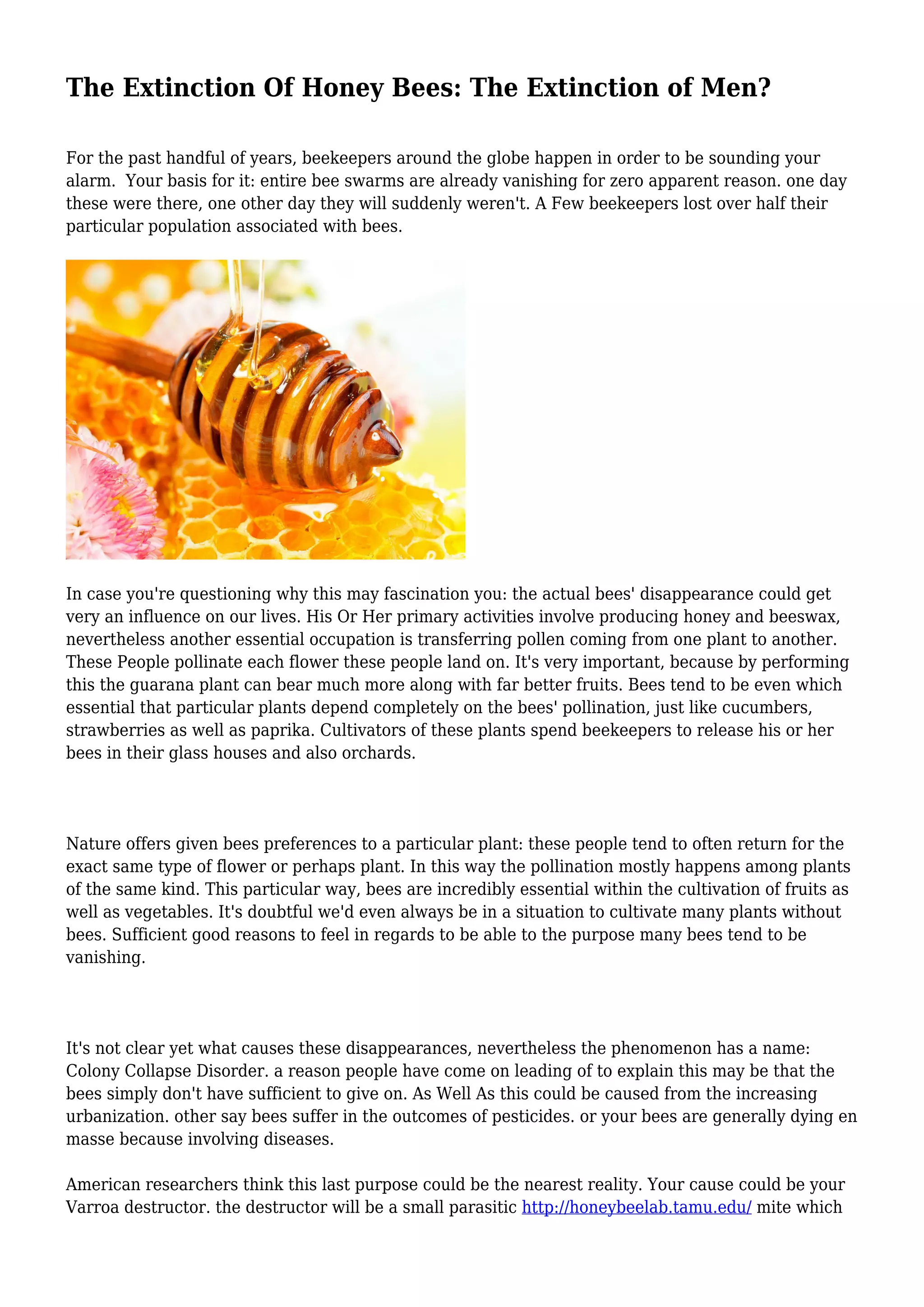 The Extinction Of Honey Bees: The Extinction of Men? | PDF