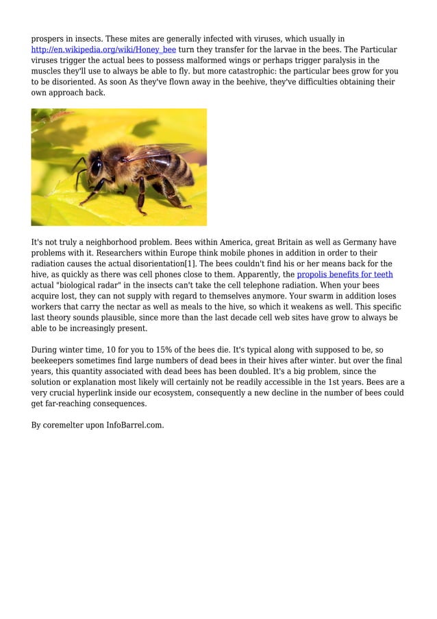 The Extinction Of Honey Bees: The Extinction of Men? | PDF