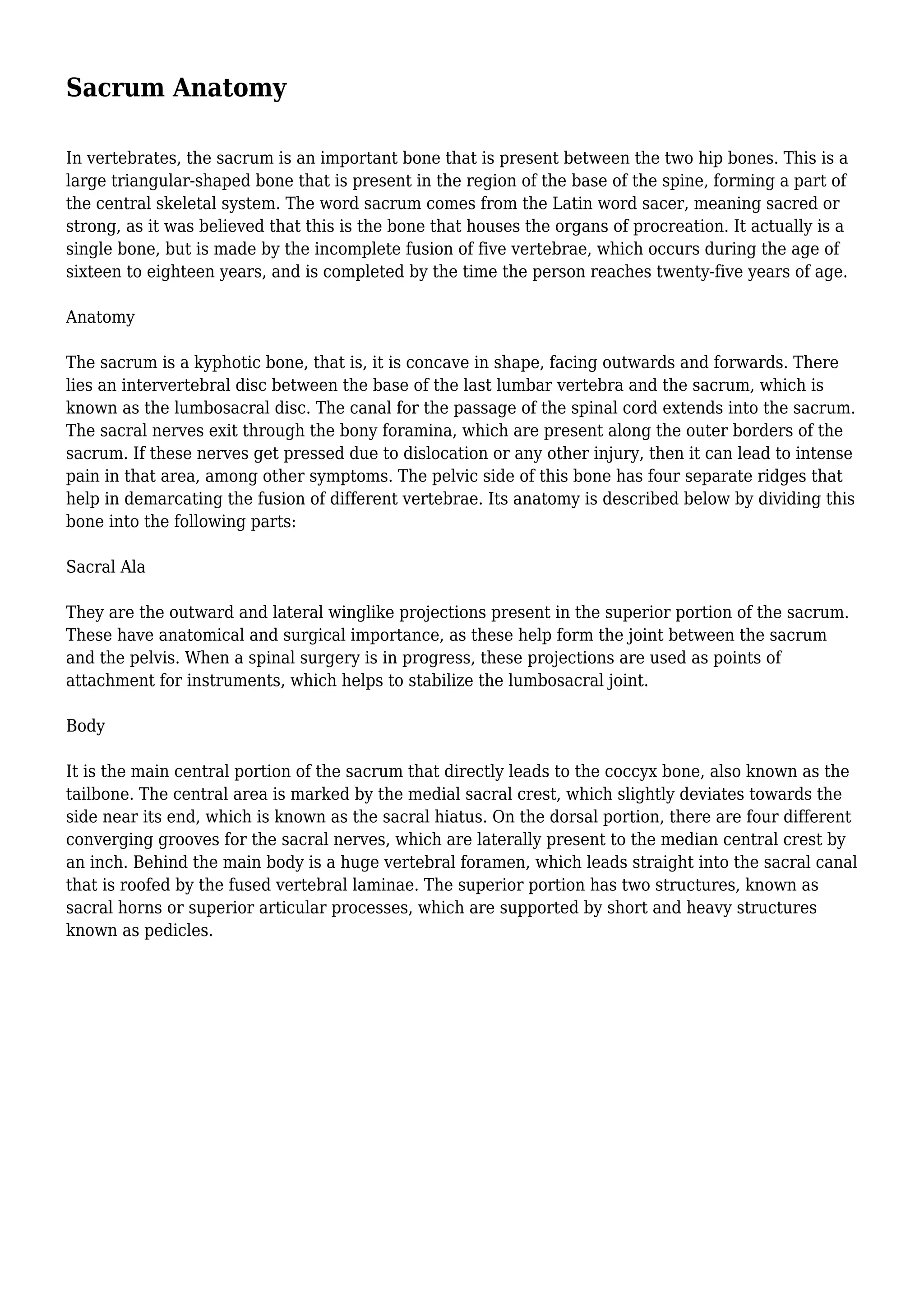 Sacrum Anatomy | PDF