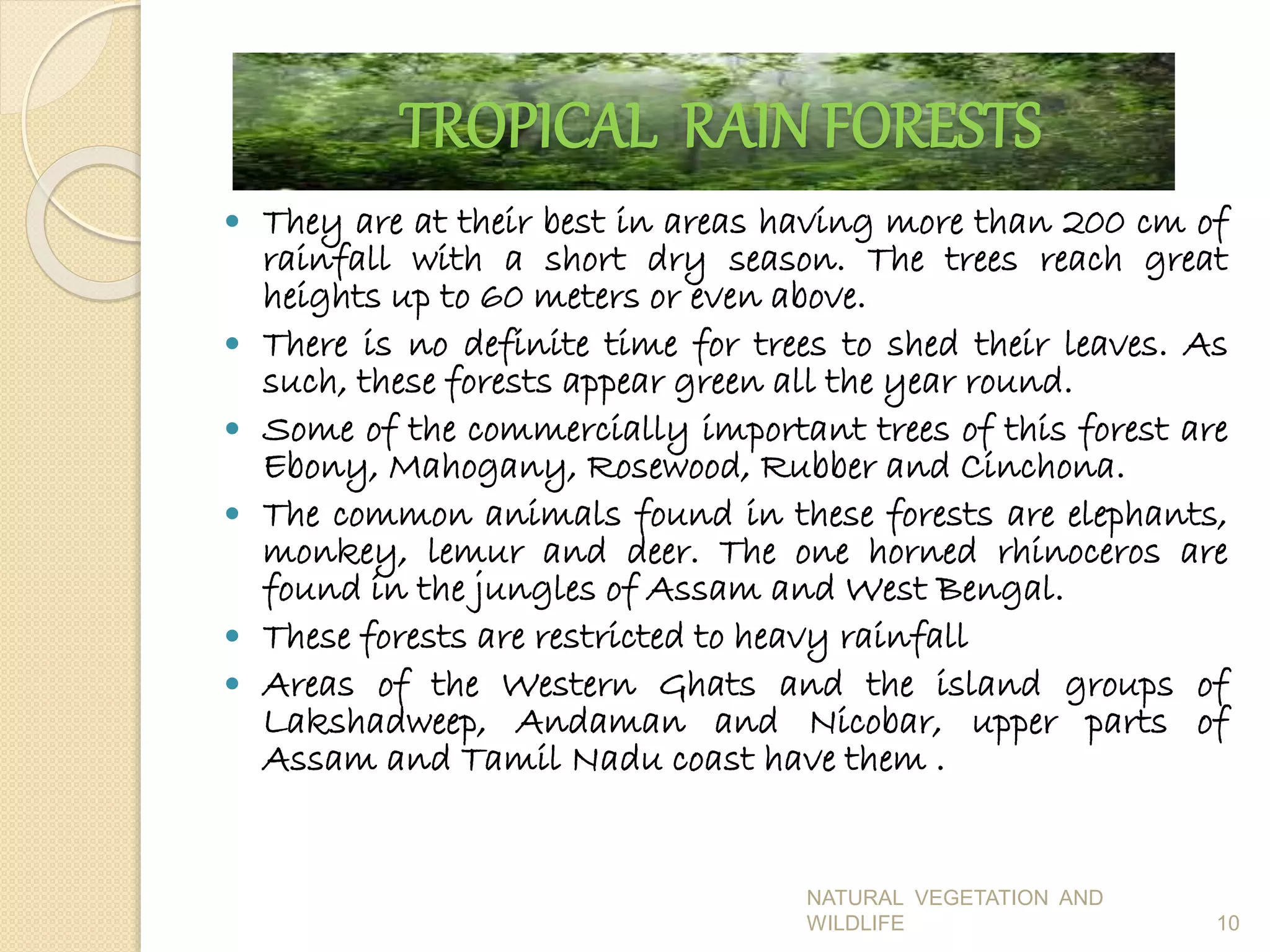 different types of natural vegetation and wildlife | PPTX