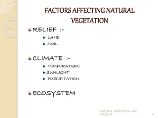different types of natural vegetation and wildlife | PPTX | Geography ...