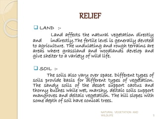 different types of natural vegetation and wildlife | PPTX