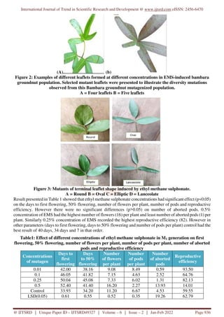 Induced Mutagenesis of Flowering, Phenology and Yield in M1 Generation ...