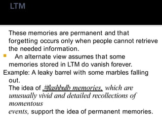 Human Memory ppt class 11 project 2 (1).pptx