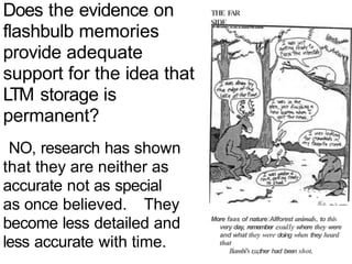 Human Memory ppt class 11 project 2 (1).pptx