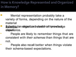 Human Memory ppt class 11 project 2 (1).pptx
