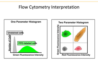 Laboratory Techniques in immunology practice. | PPT