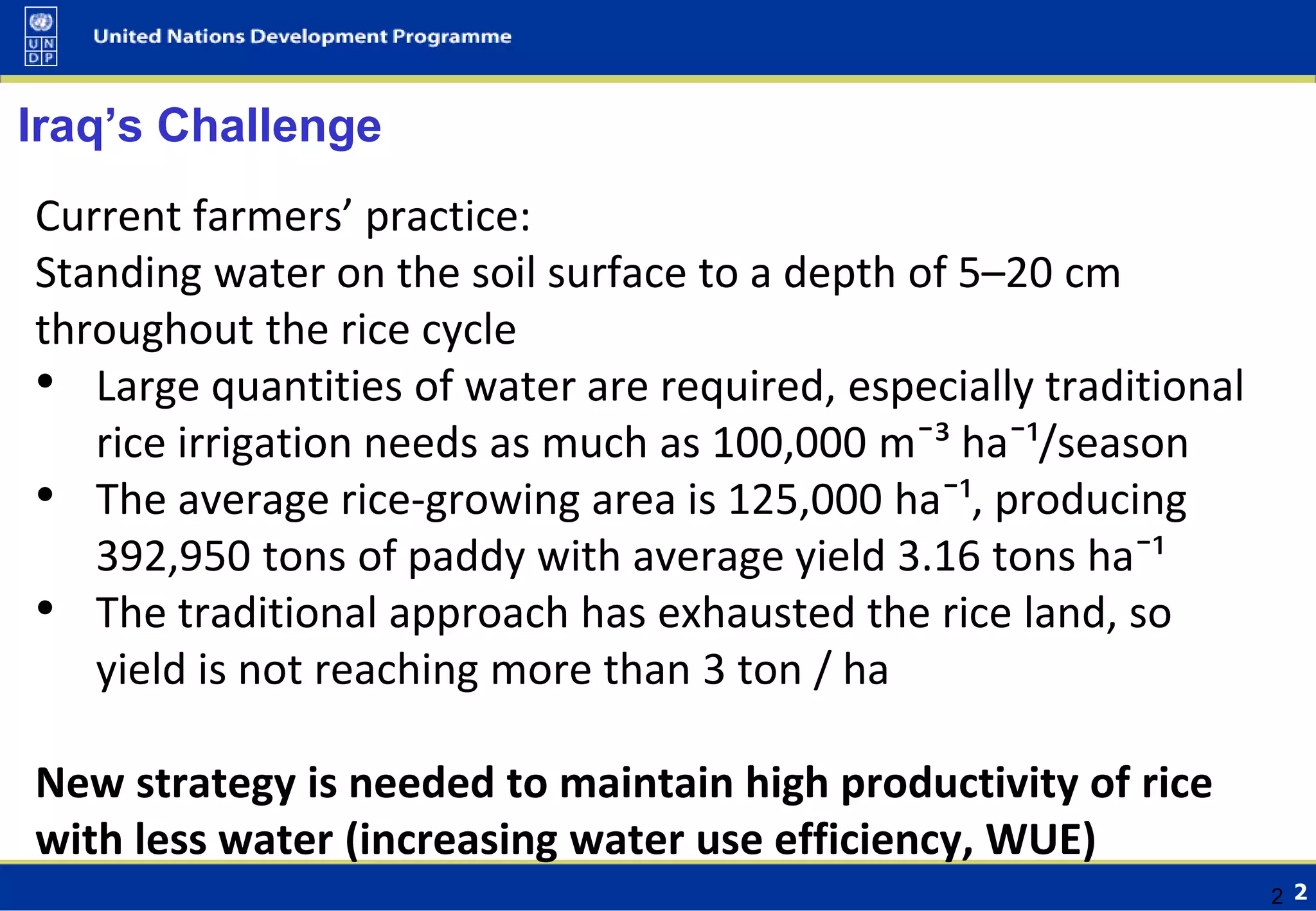 1444 - Iraq’s Strategy for Innovative Rice Irrigation and Water ...