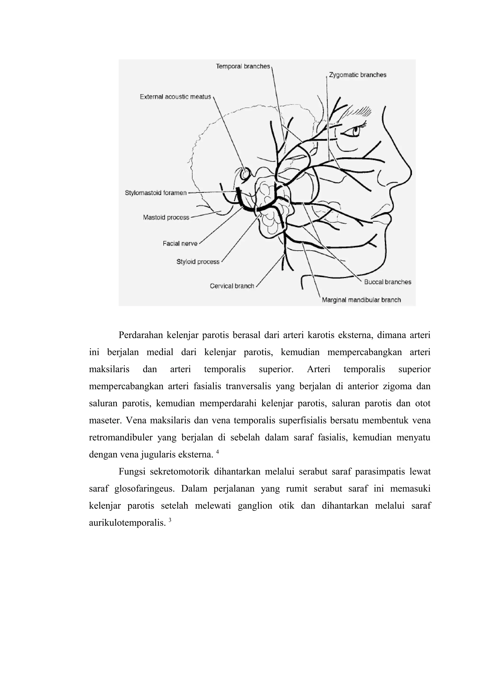 144455091 case-tumor-parotis | DOC