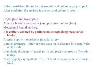 144574245-FEMALE-REPRODUCTIVE-ORGAN-ppt.ppt