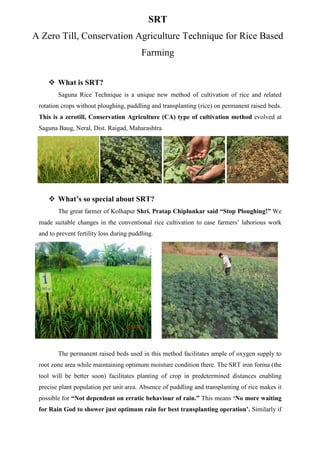 1448 a zero till, conservation agriculture technique for rice based ...