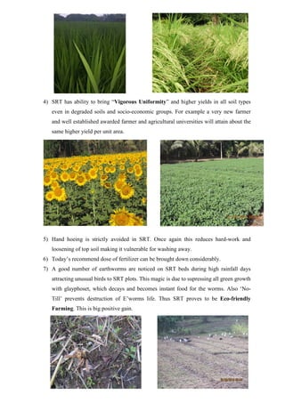 1448 a zero till, conservation agriculture technique for rice based ...