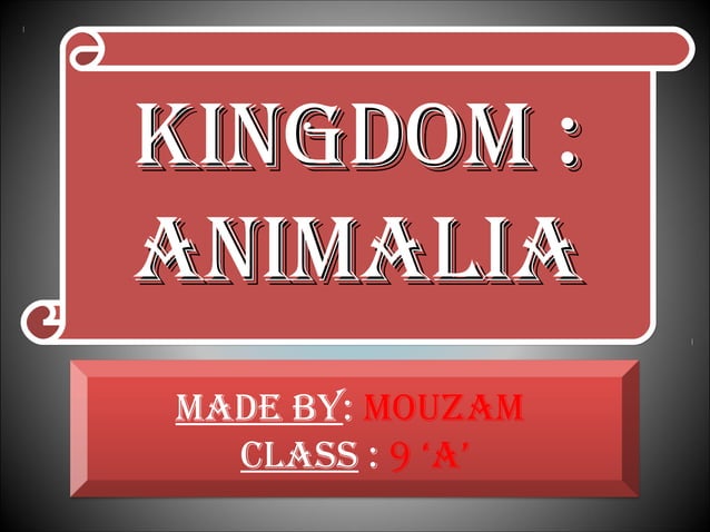 animal kingdom | PPT